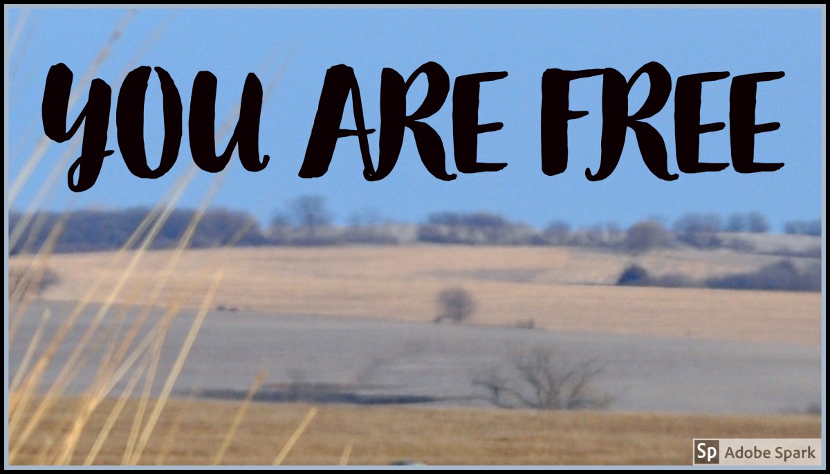 You Are Free: 2019 Word(s) of the Year – Being Benedictine