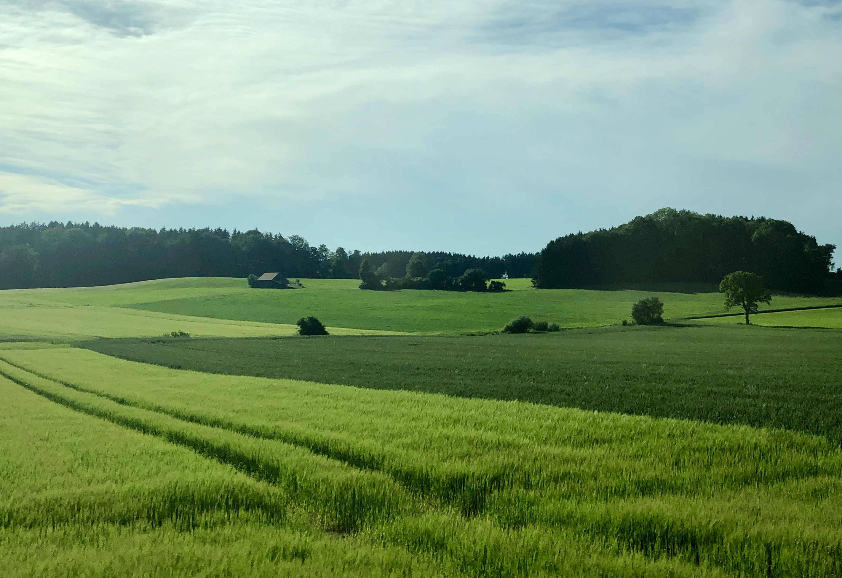 Protectors of Creation: An Earth Day Challenge – Being Benedictine