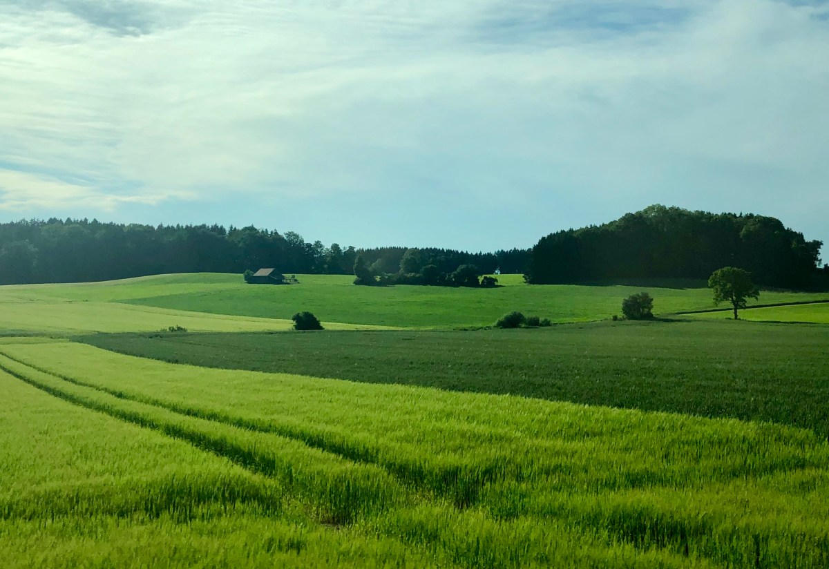 Protectors of Creation: An Earth Day Challenge – Being Benedictine