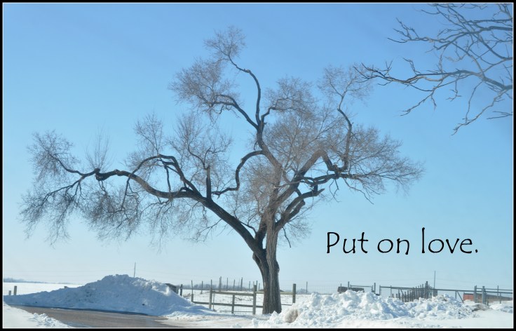 Put on a Heart of Compassion – Being Benedictine