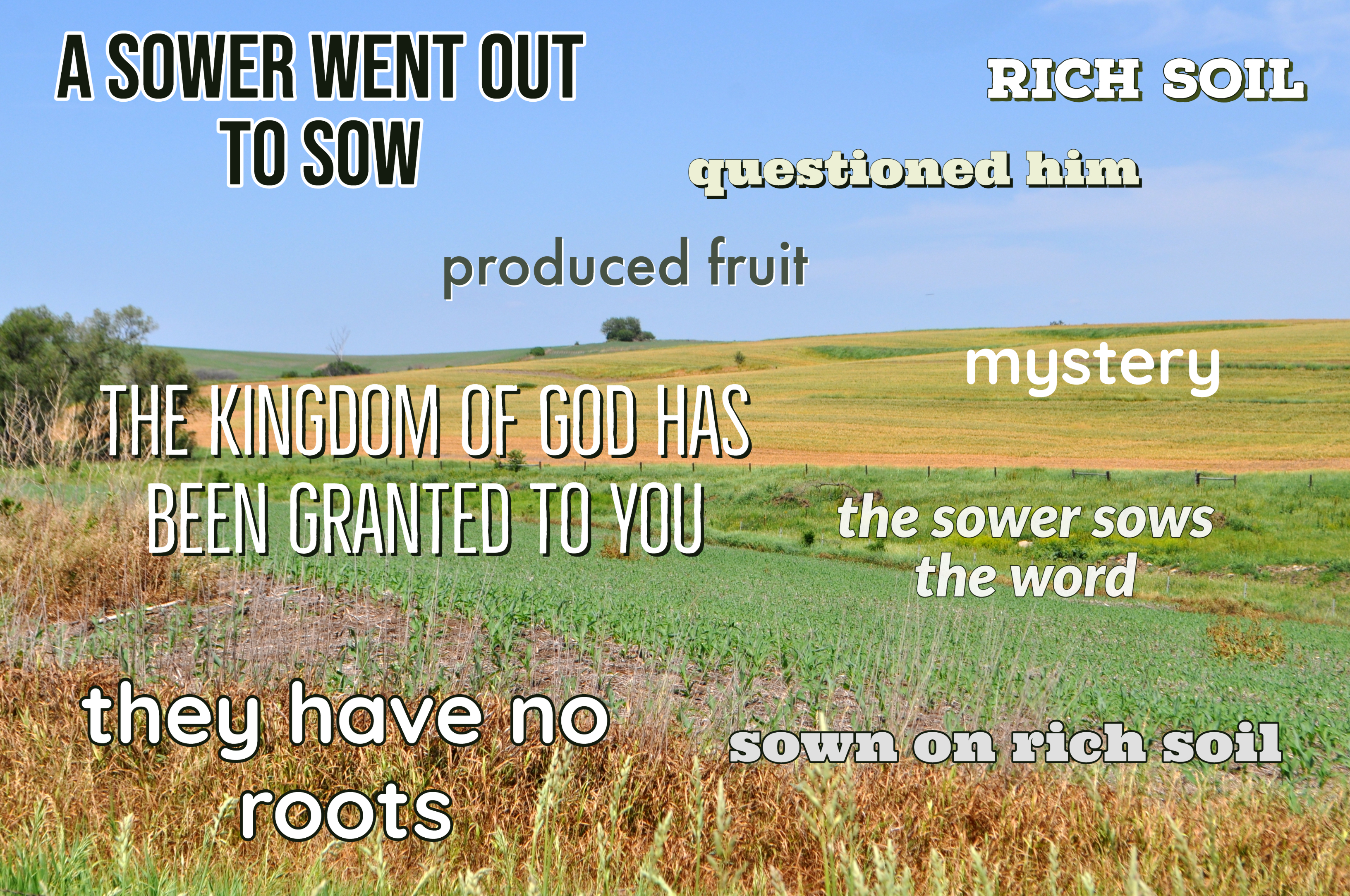 The Sower Sows – Being Benedictine