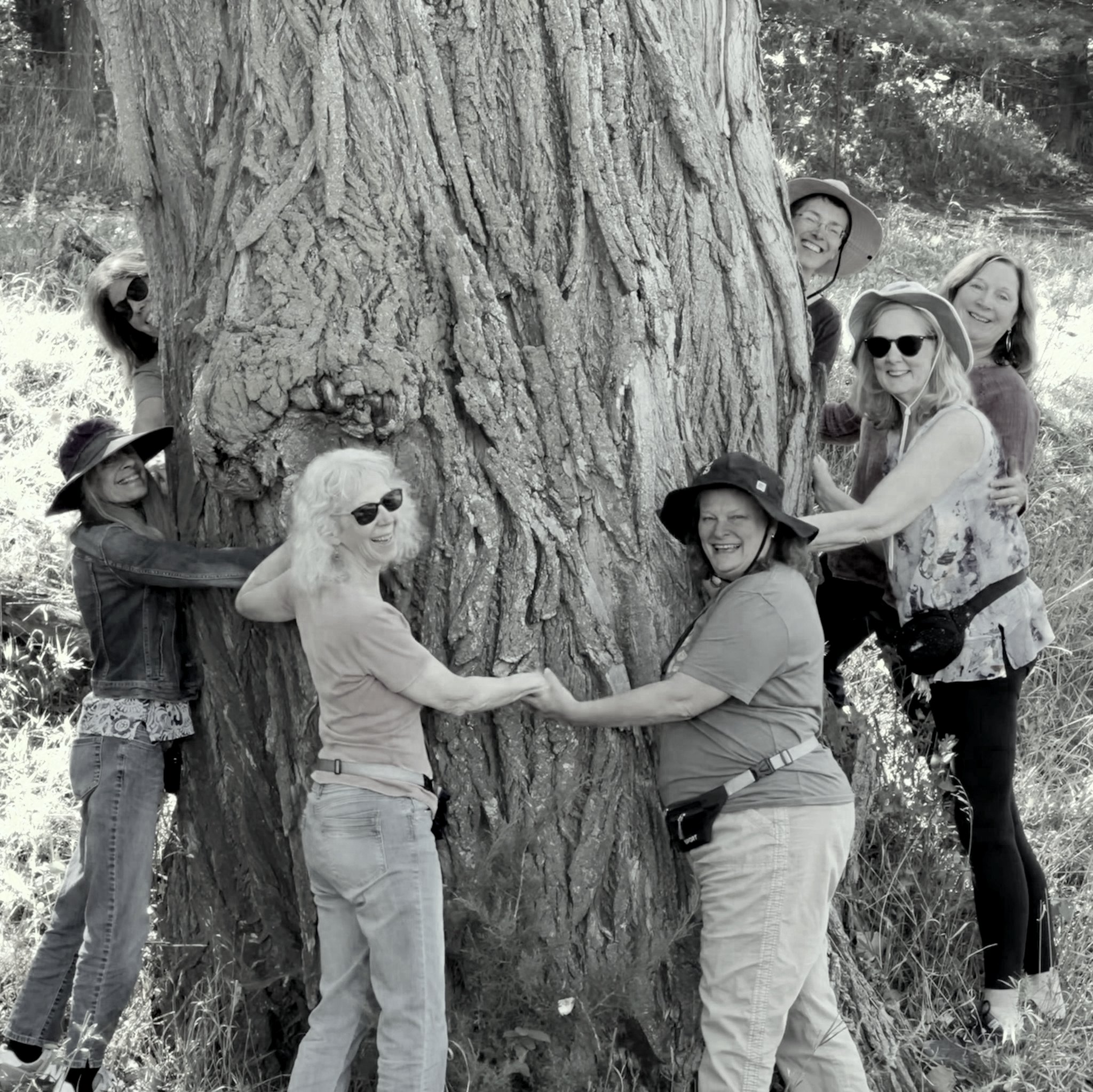 Tree Huggers: The Circle of Care – Being Benedictine